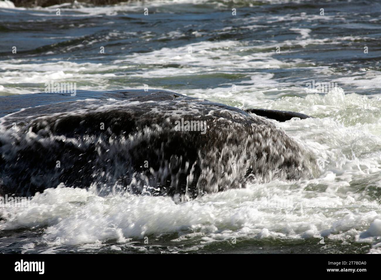 Powerful gale wind along the coastal area. Waves and breakers hit the ...