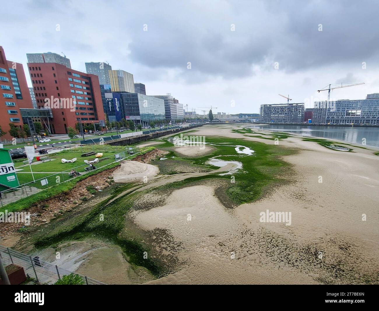 Raised sand in Rotterdam's Rijnhaven to create an urban beach in the ...