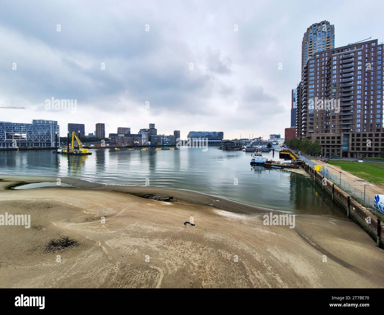 Raised sand in Rotterdam's Rijnhaven to create an urban beach in the ...