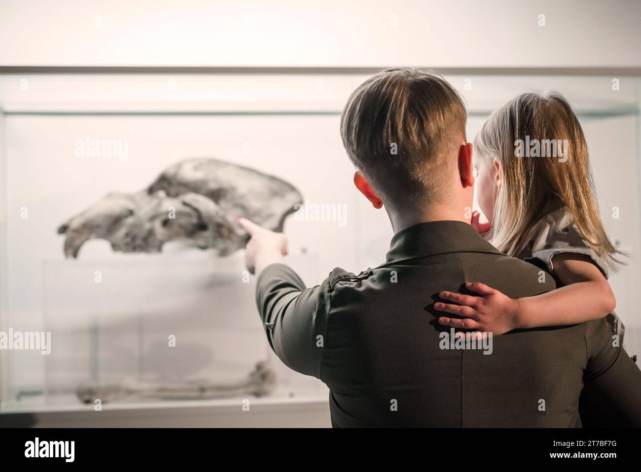 Little girl in her mothers arms looking at the glass display case with ...