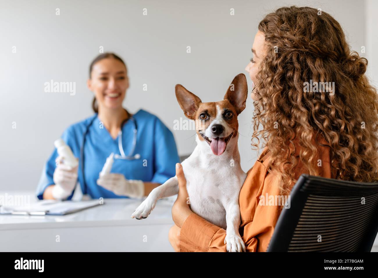 Vetoffice hi-res stock photography and images - Alamy