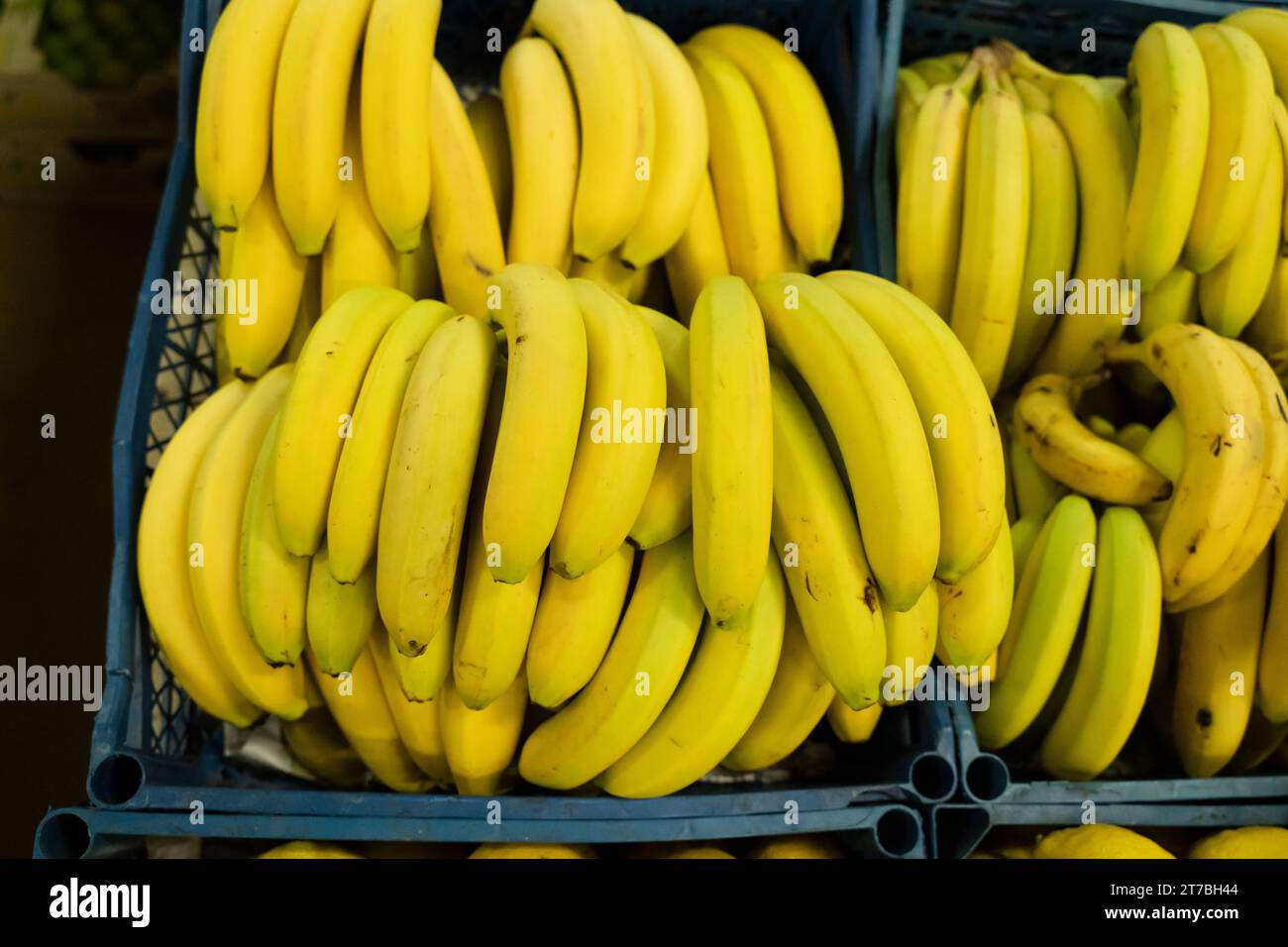 Fresh bananas in plastic boxes on the big market Stock Photo - Alamy