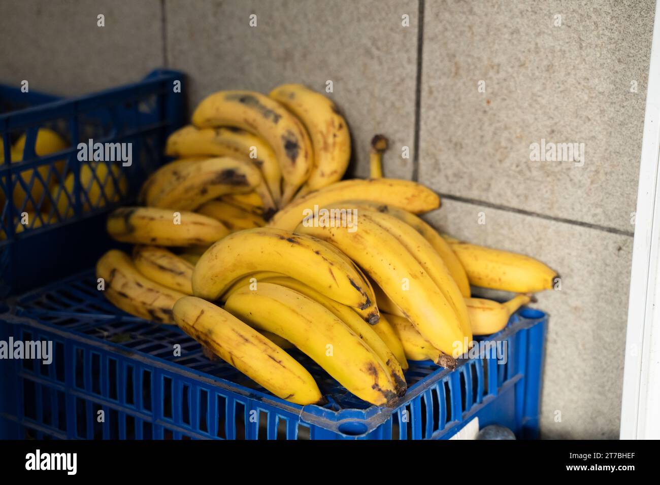 Fresh bananas in plastic boxes on big market Stock Photo - Alamy