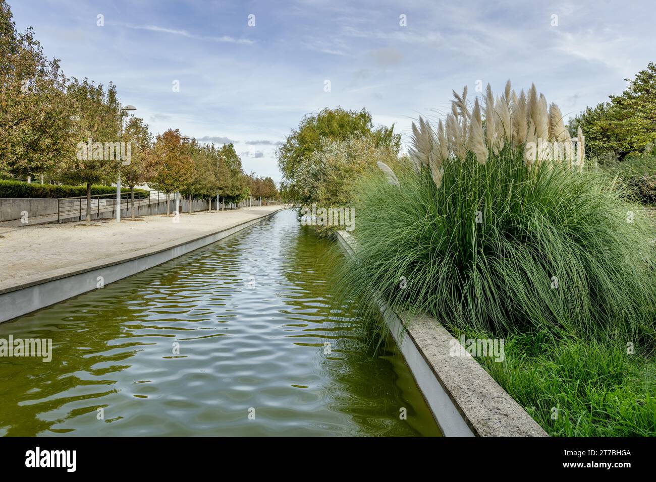 River full green water plants hi-res stock photography and images - Alamy