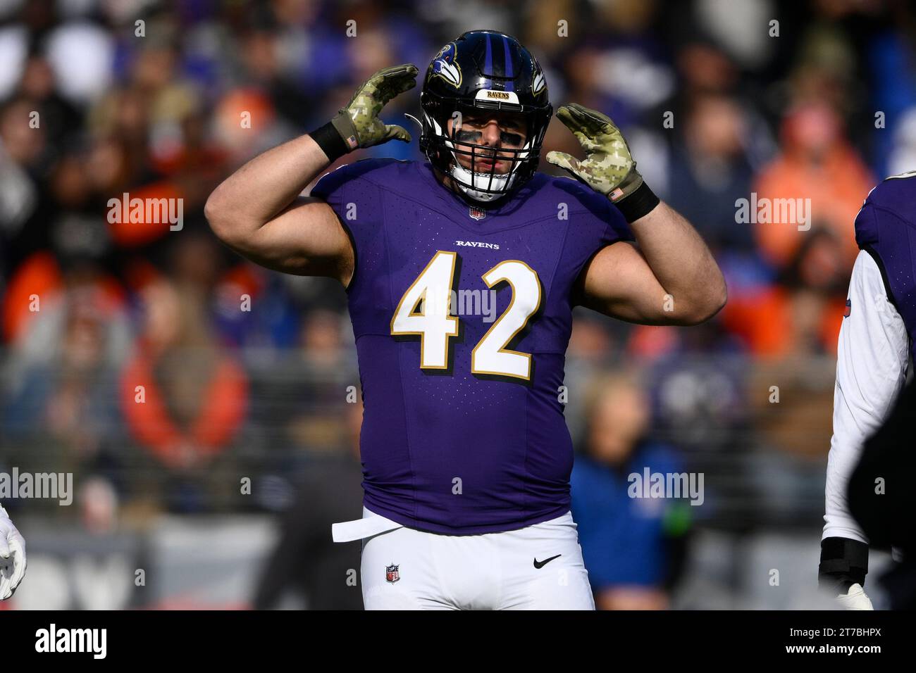 Baltimore Ravens fullback Patrick Ricard (42) in action during the ...