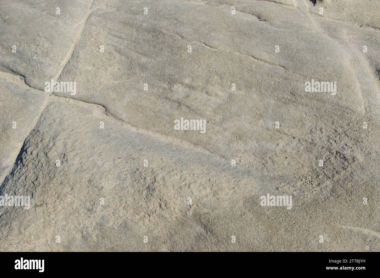 texture: rough surface of white rock from Sithonia, Chalkidiki ...