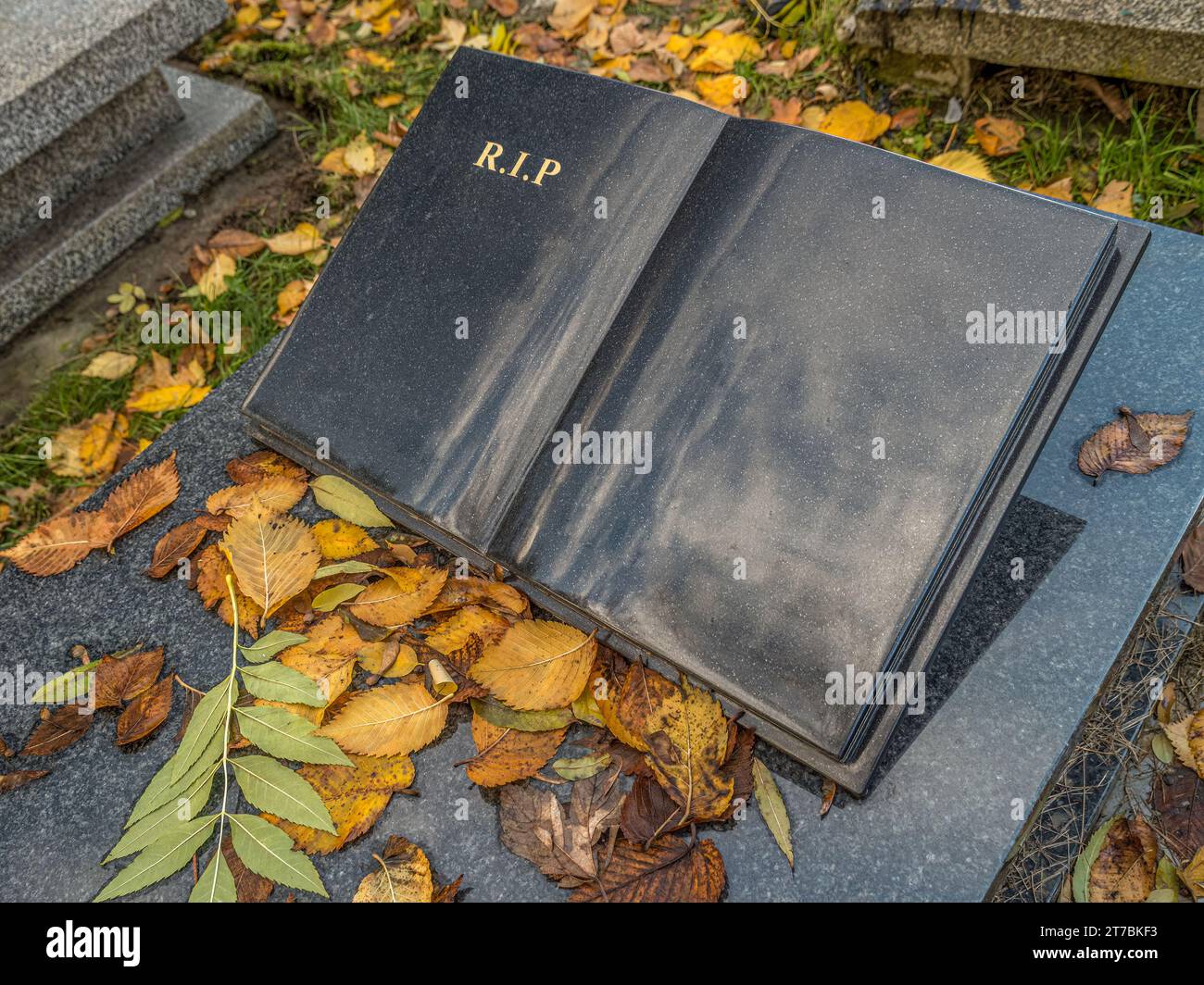 Tombstone in the shape of black marble open book with RIP inscription ...