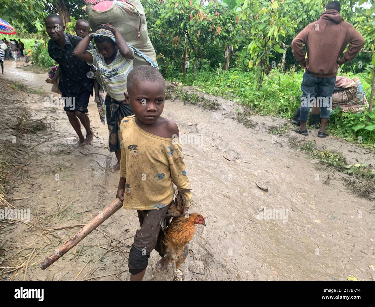 Bundibugyo, Uganda. 14th Nov, 2023. Congolese refugees are on their way ...