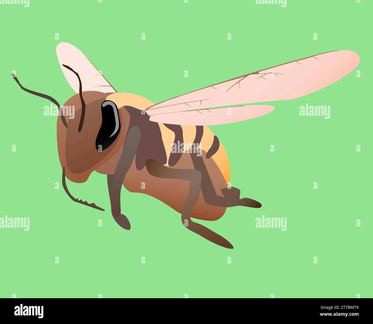 Worker bee cartoon illustration hi-res stock photography and images - Alamy