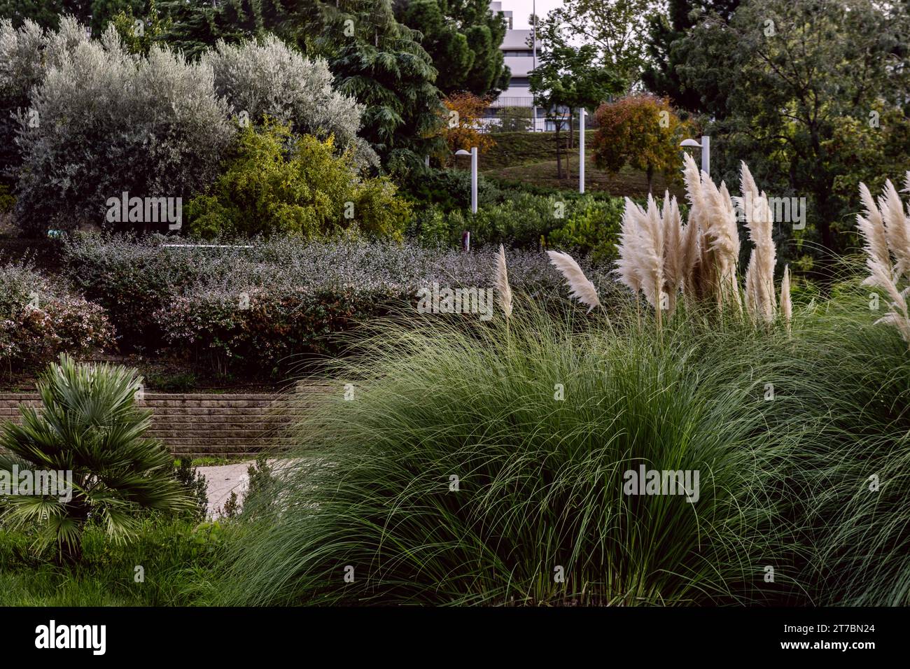Lawn flower flower canal hi-res stock photography and images - Alamy
