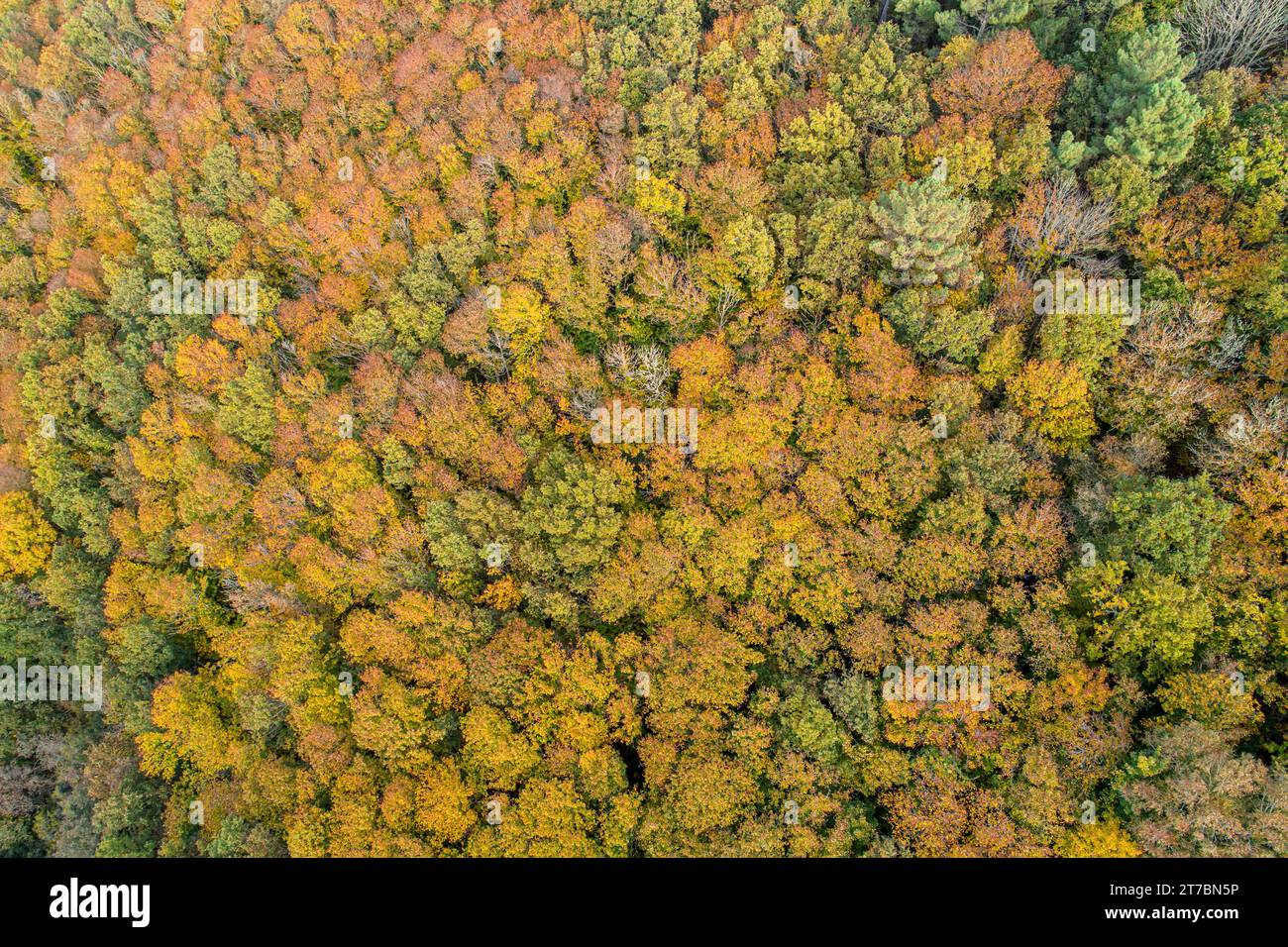 Zenithal drone view texture hi-res stock photography and images - Alamy