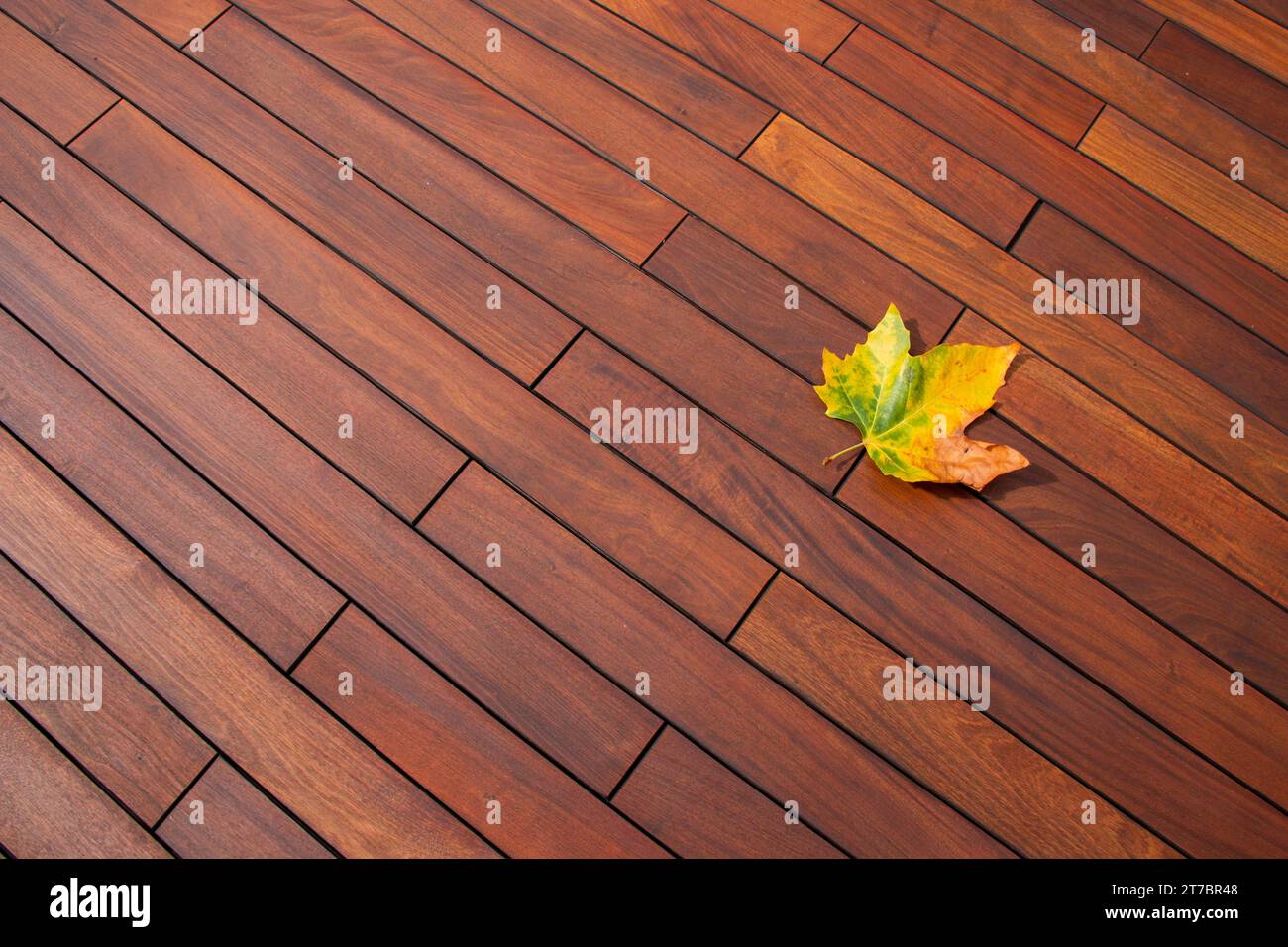 Colorful maple leaf on ipe wood texture background Stock Photo - Alamy
