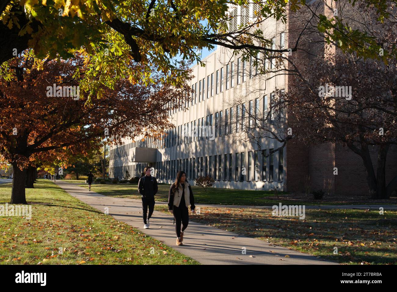 Biomedical and physical sciences hi-res stock photography and images ...