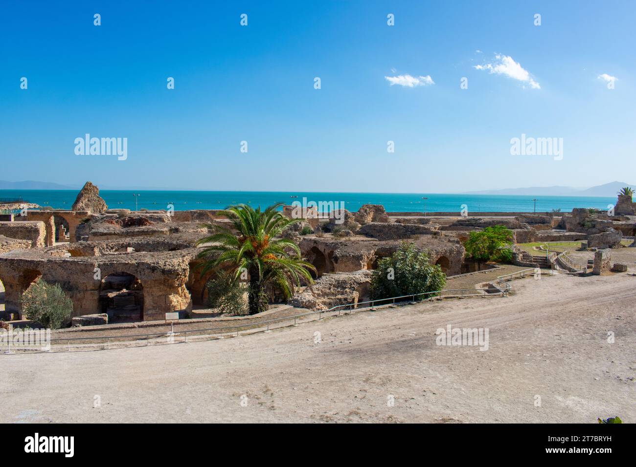 Carthage tunis tunisia hi-res stock photography and images - Alamy