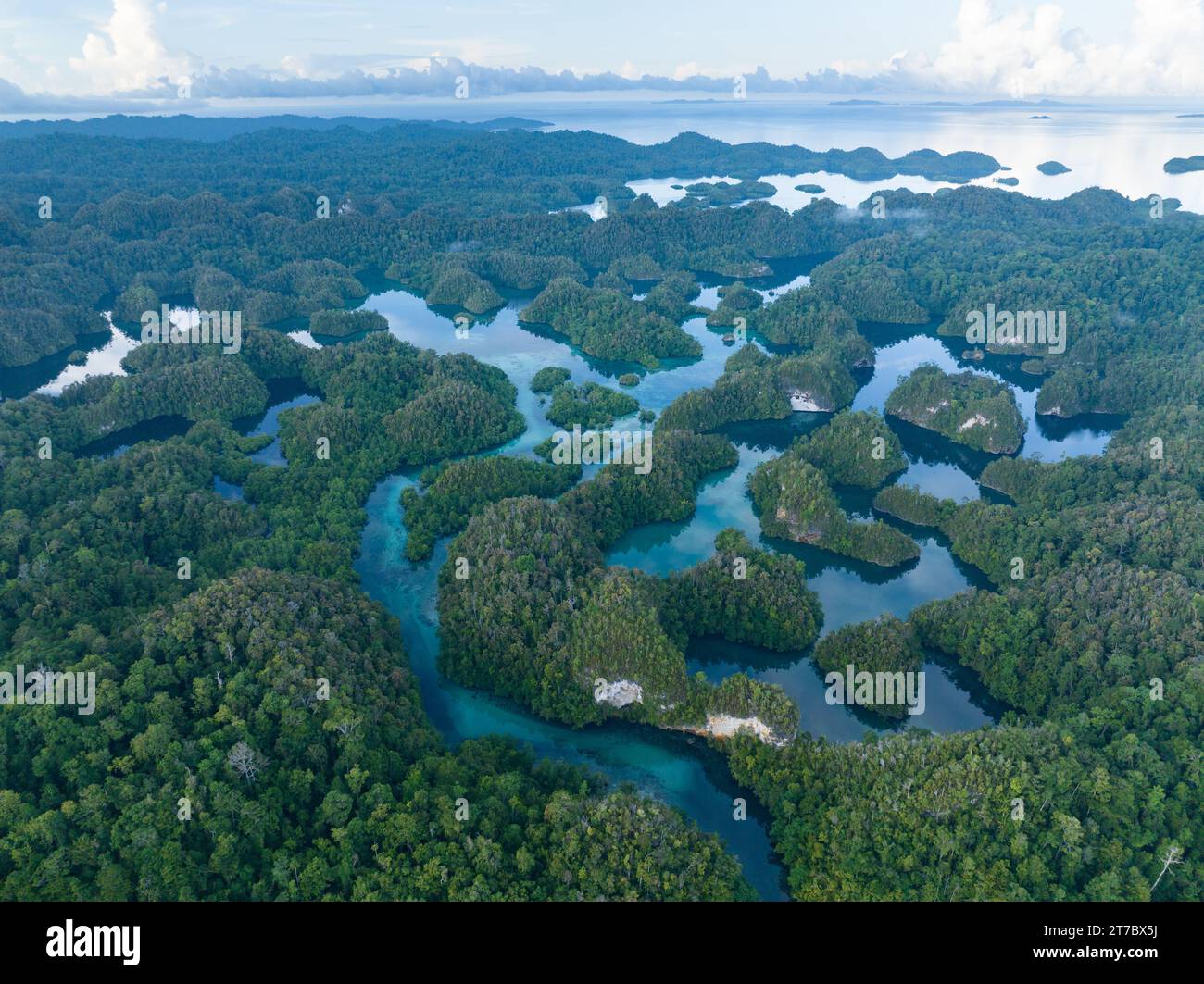 Scenic limestone islands in northern Raja Ampat, Indonesia, are fringed ...