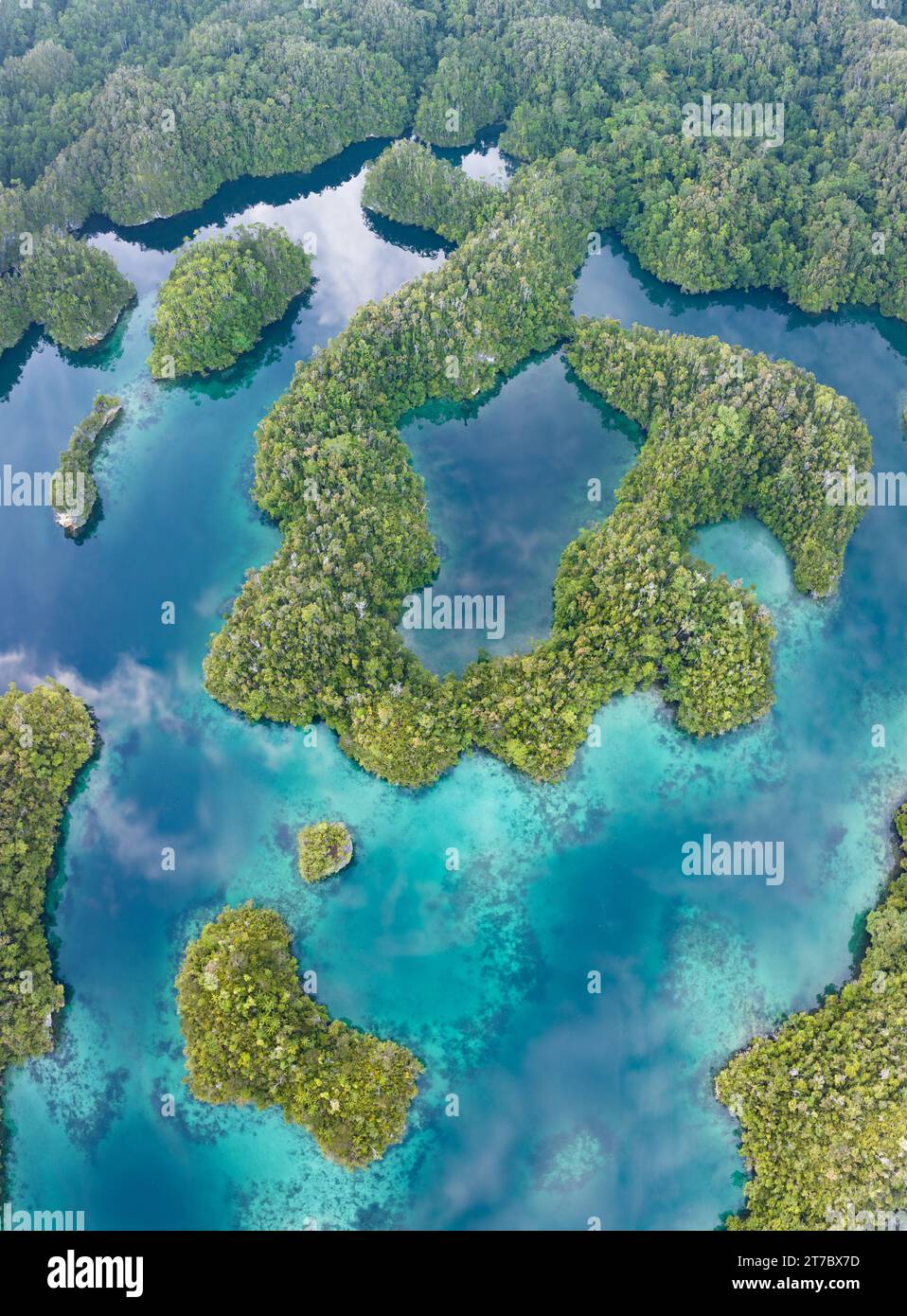 Beautiful biodiverse coral reefs hi-res stock photography and images ...