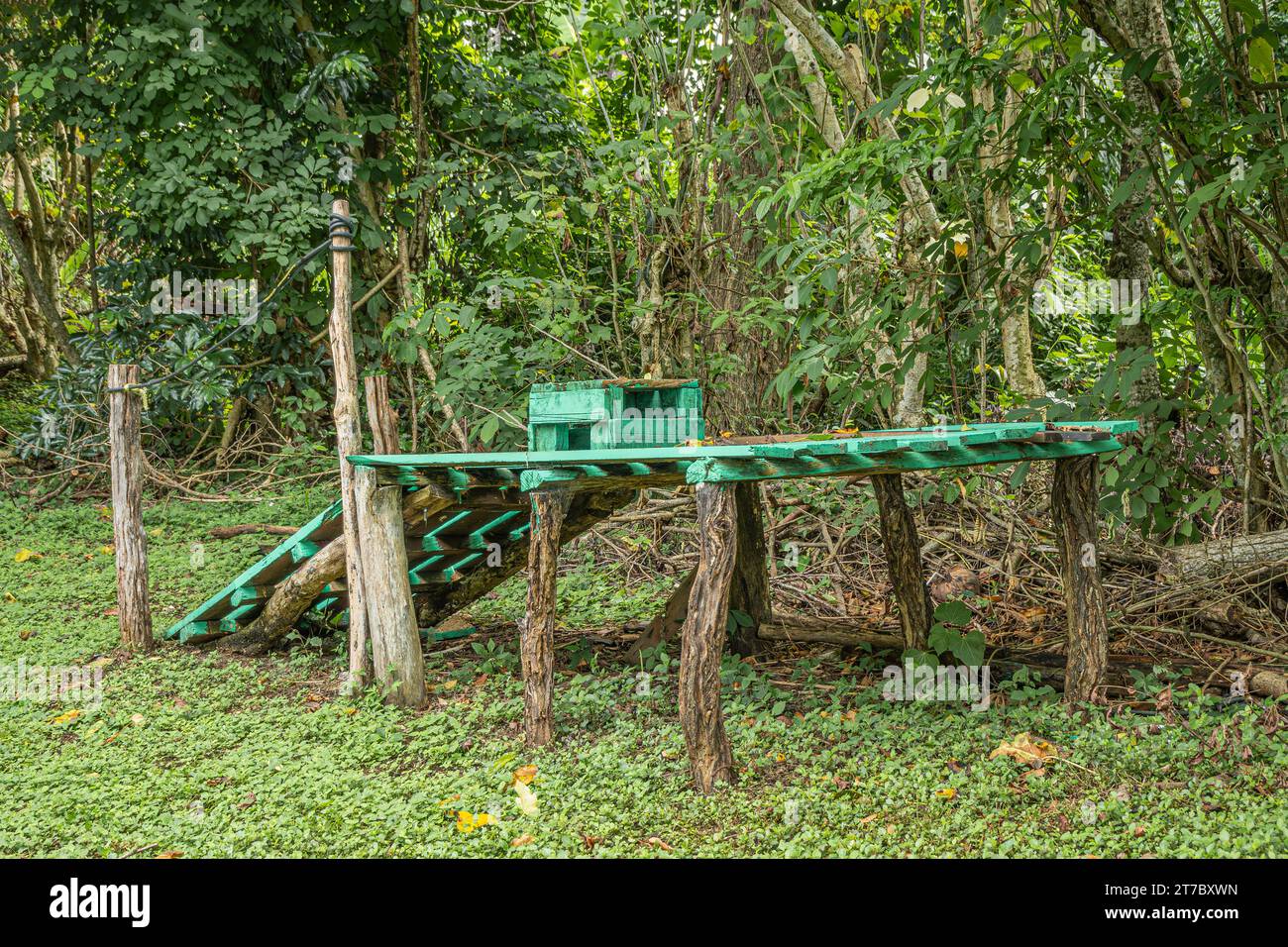 Costa Rica, Luganillas - July 22, 2023: Tarcoles River green jungle ...