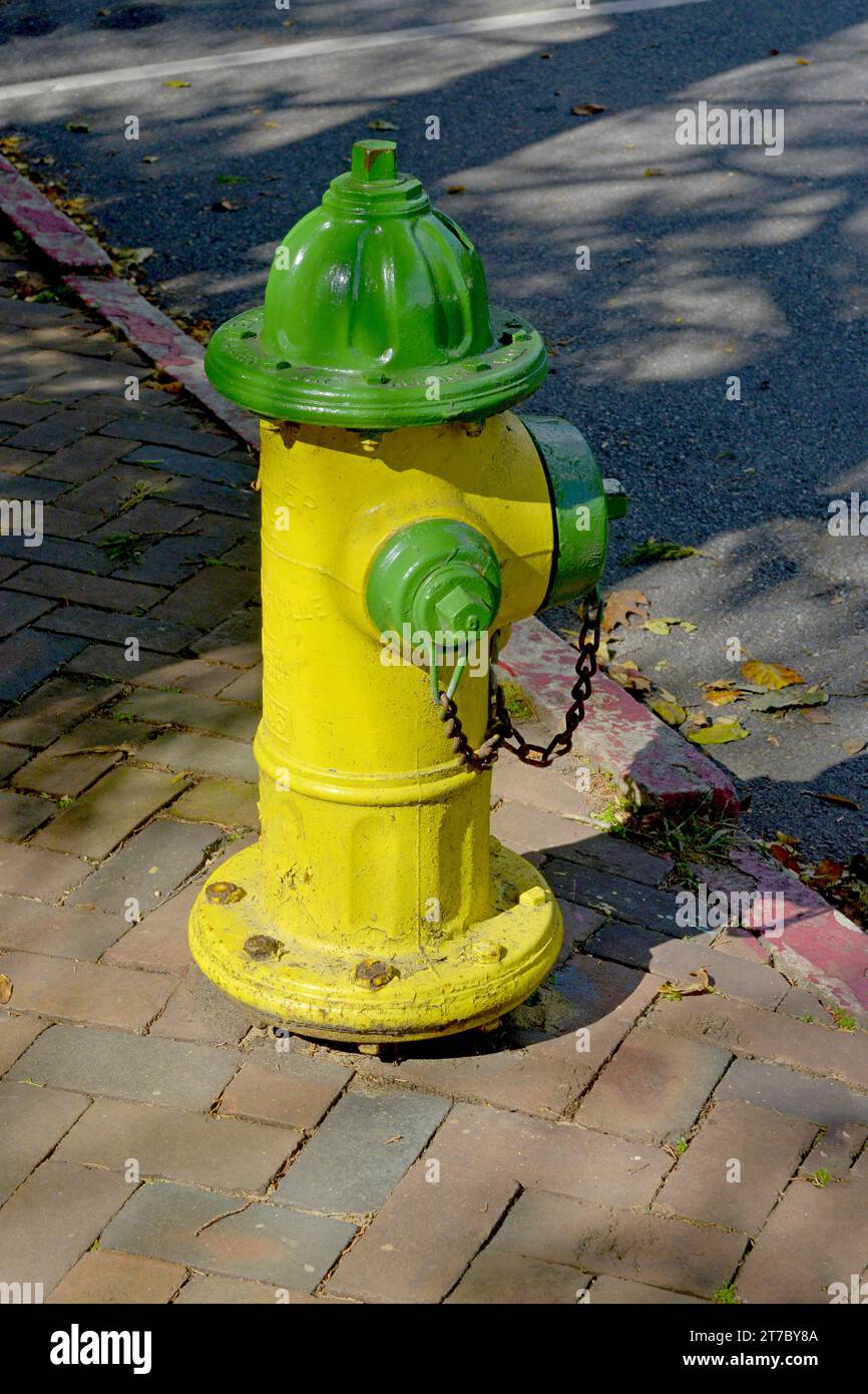 Yellow and green painted fire hydrant in Annapolis MD Stock Photo - Alamy