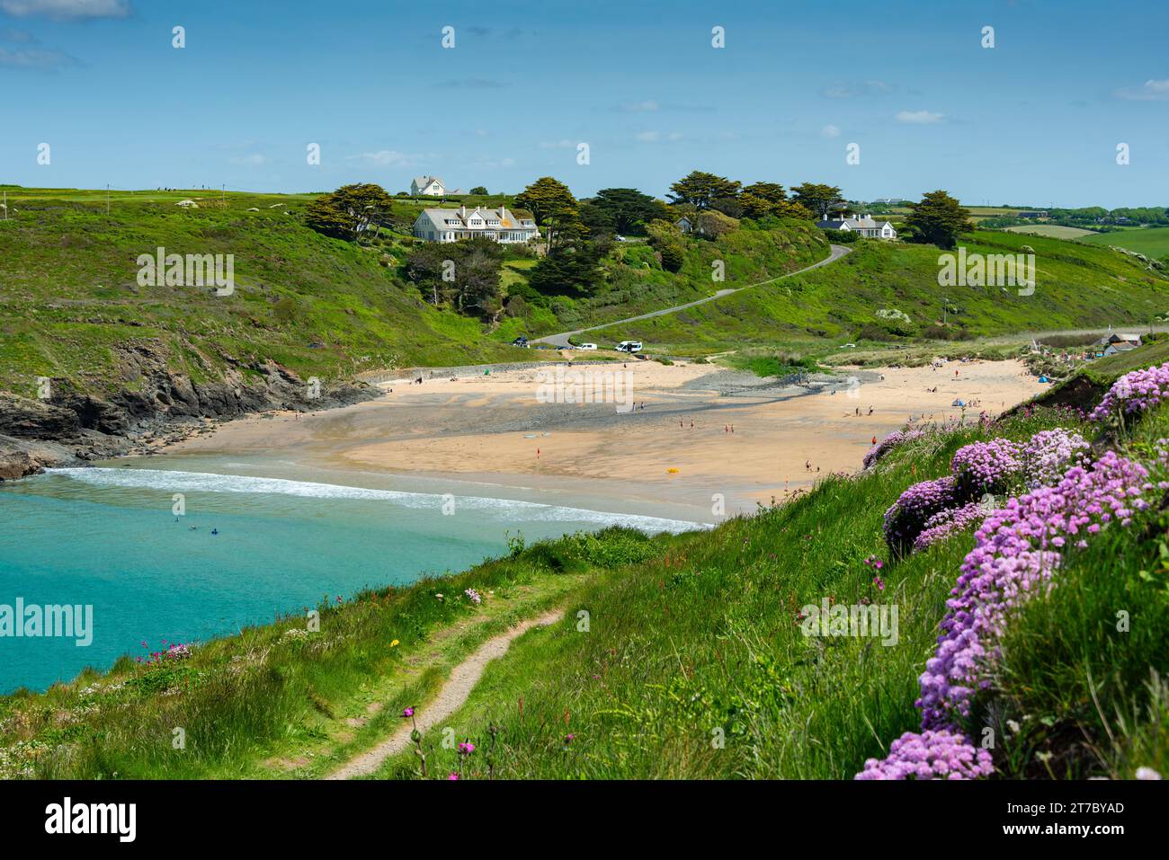 Cornish beach in summer Stock Photo - Alamy