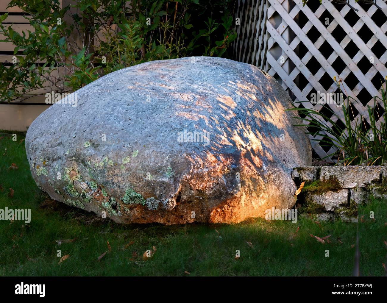 Large boulder resting in the green grass with shrubs and lattice finch ...