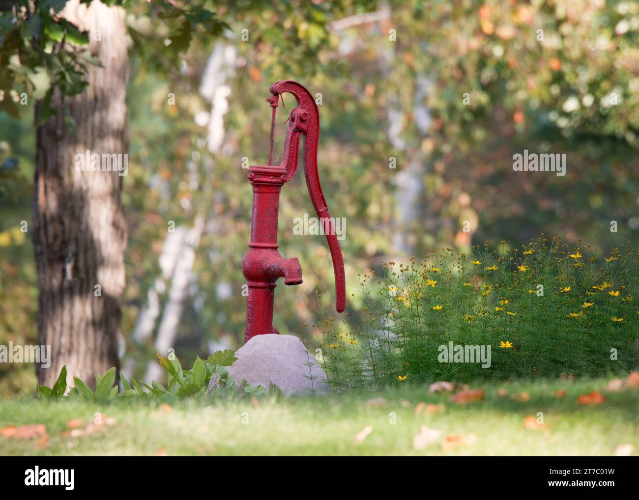 Red vintage water pump in flower bed rock and tree background in the ...