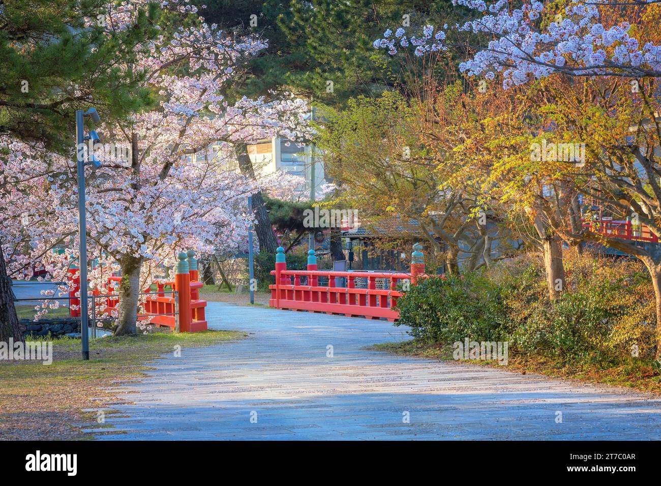 Kyoto, Japan - April 1 2023: Prefectural Uji Park with full bloom ...