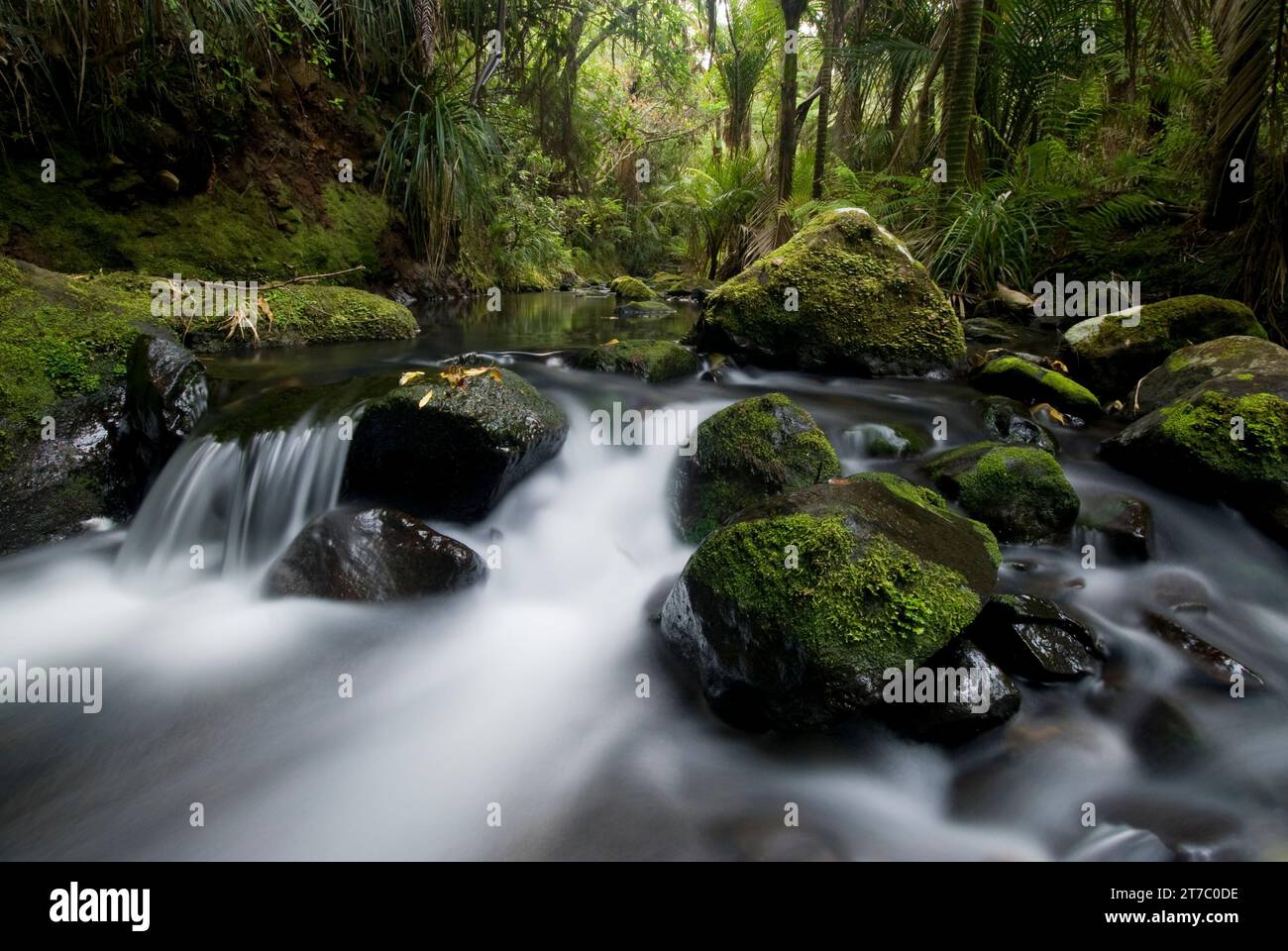 Kitekite Falls, the most scenic waterfall in the Waitakere Ranges ...