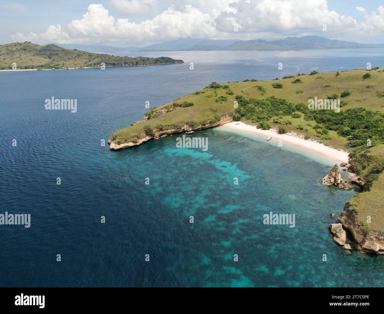 Bajo vector hi-res stock photography and images - Alamy