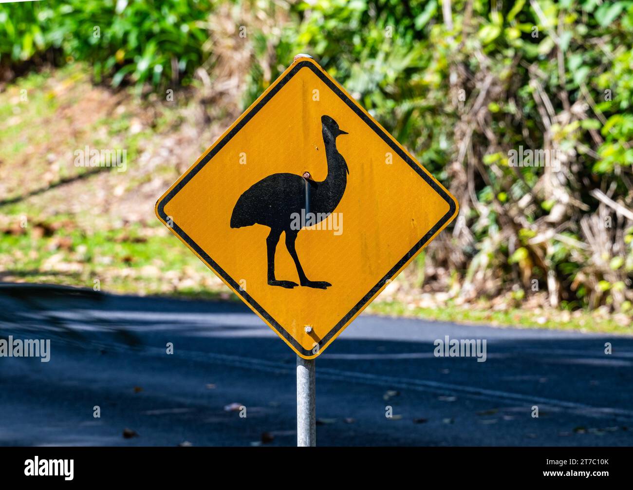 A road sign warning presence of Cassowary. Queensland, Australia Stock ...