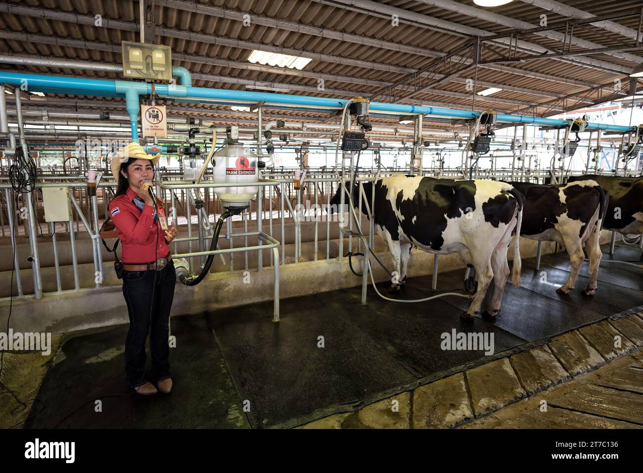Chok Chai Farm, Khao Yai, Thailand - Jun 2, 2019: The guide lead ...