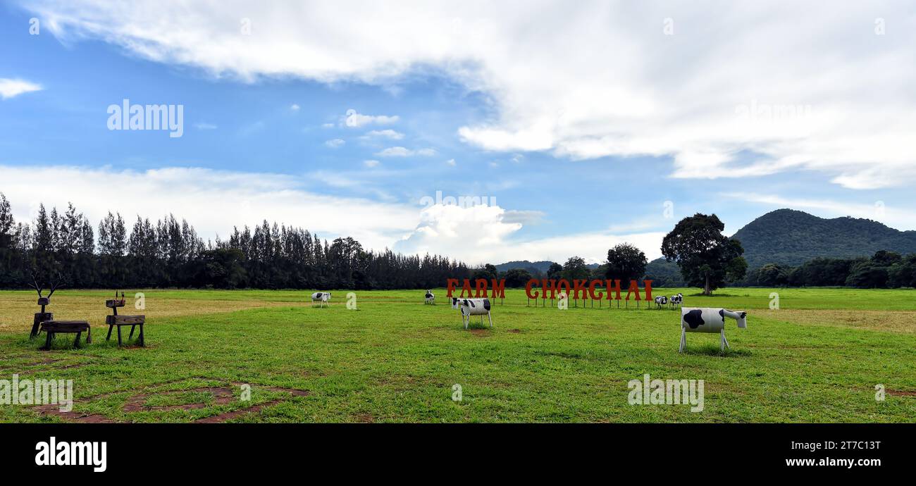 Chok Chai Farm, Khao Yai, Thailand - Jun 2, 2019: Beautiful stunning ...