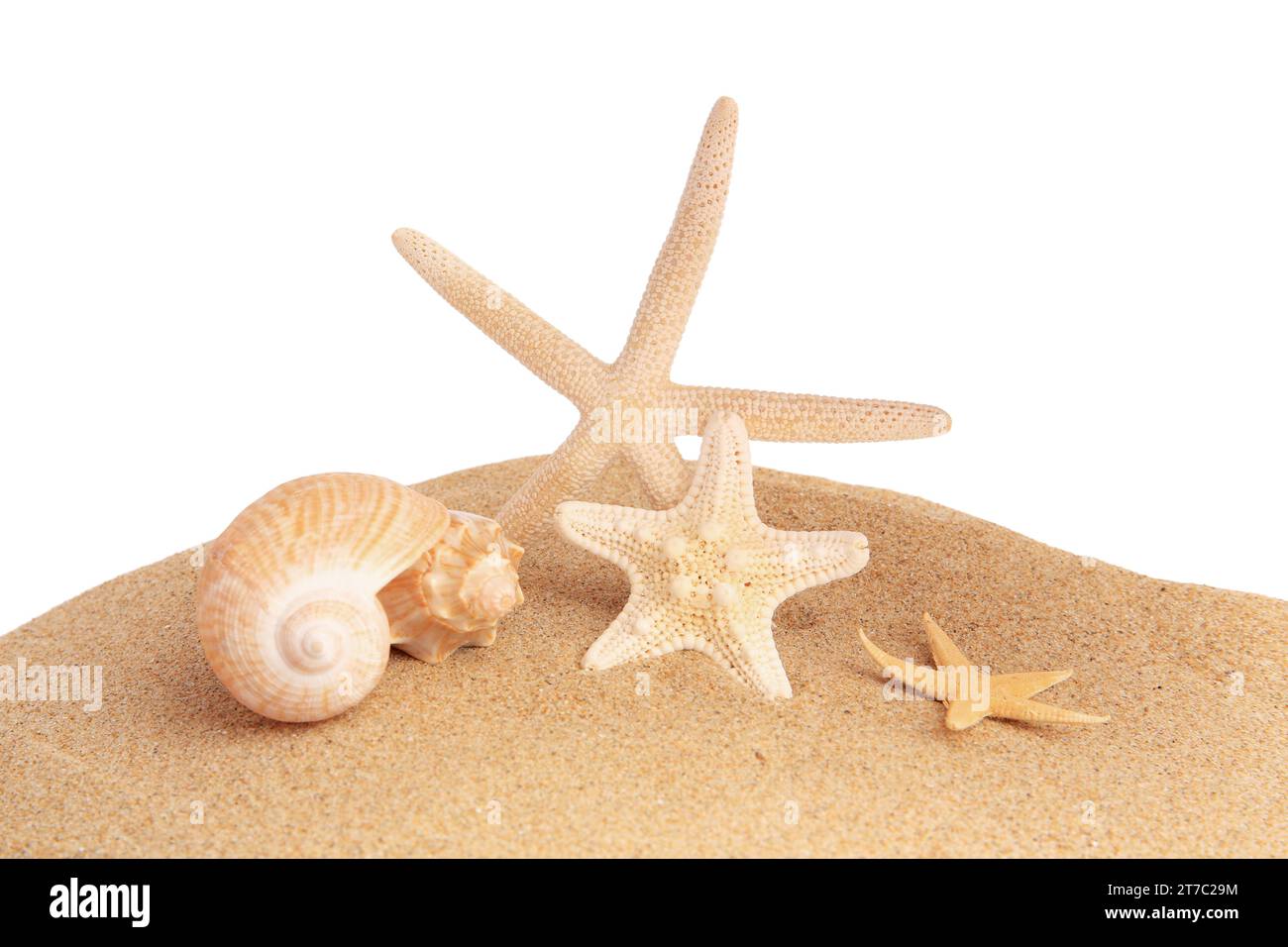 Many different seashells starfishes hi-res stock photography and images ...