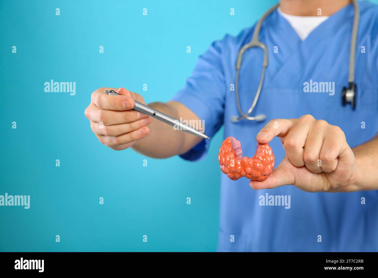 Endocrinologist showing thyroid gland model on light blue background ...