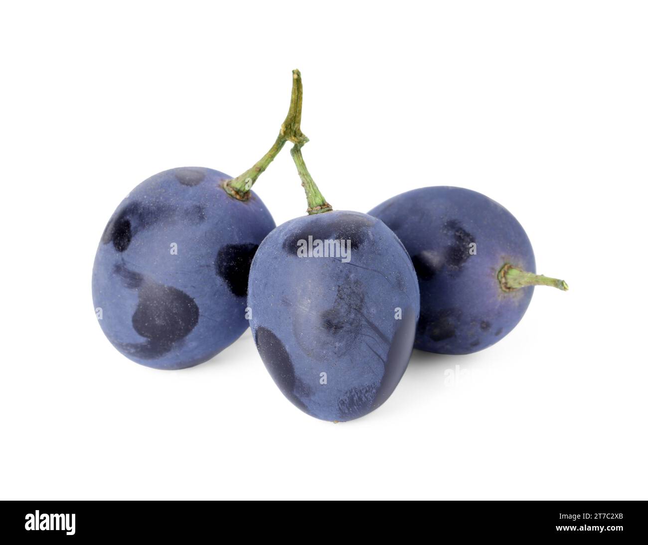 Delicious ripe dark blue grapes isolated on white Stock Photo - Alamy