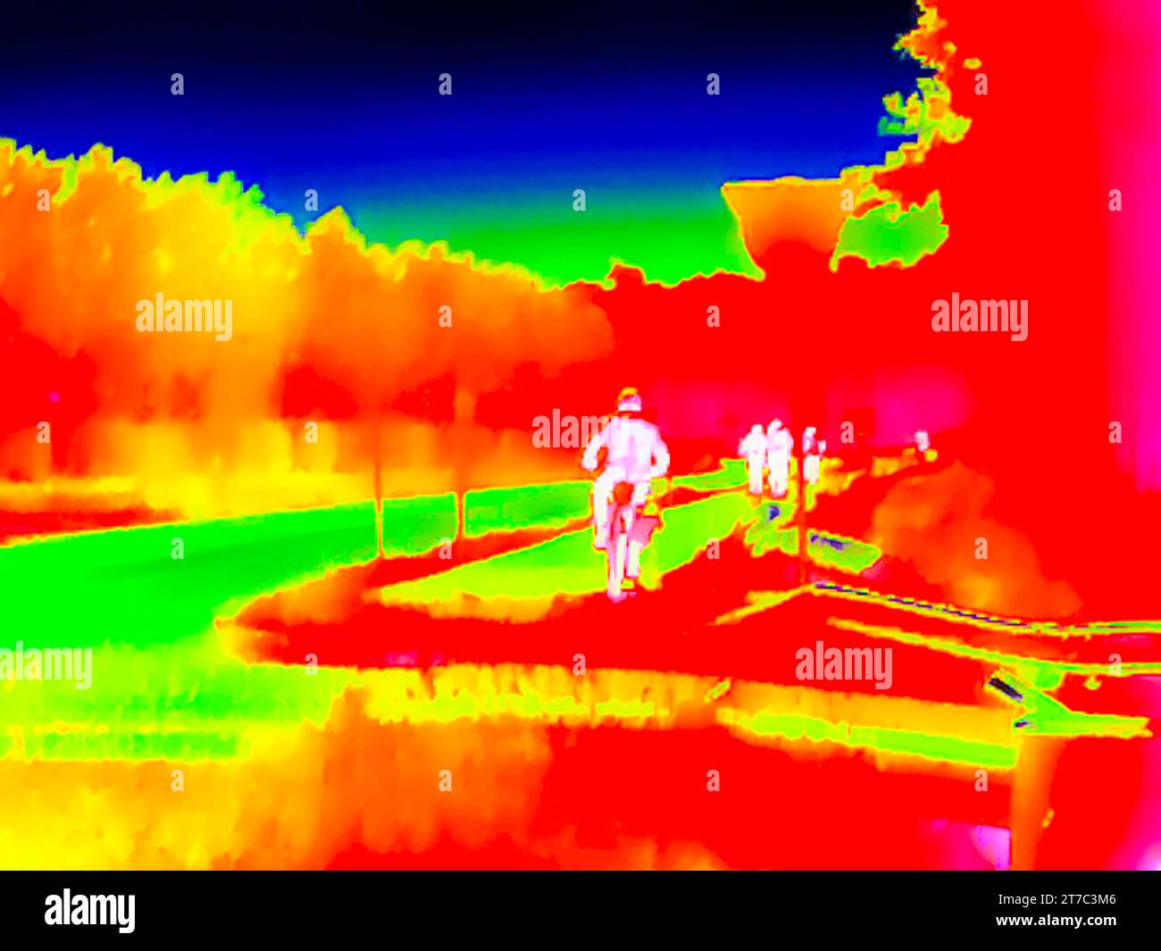 Cyclist travelling on a cycle path, symbol photo, thermal imaging ...