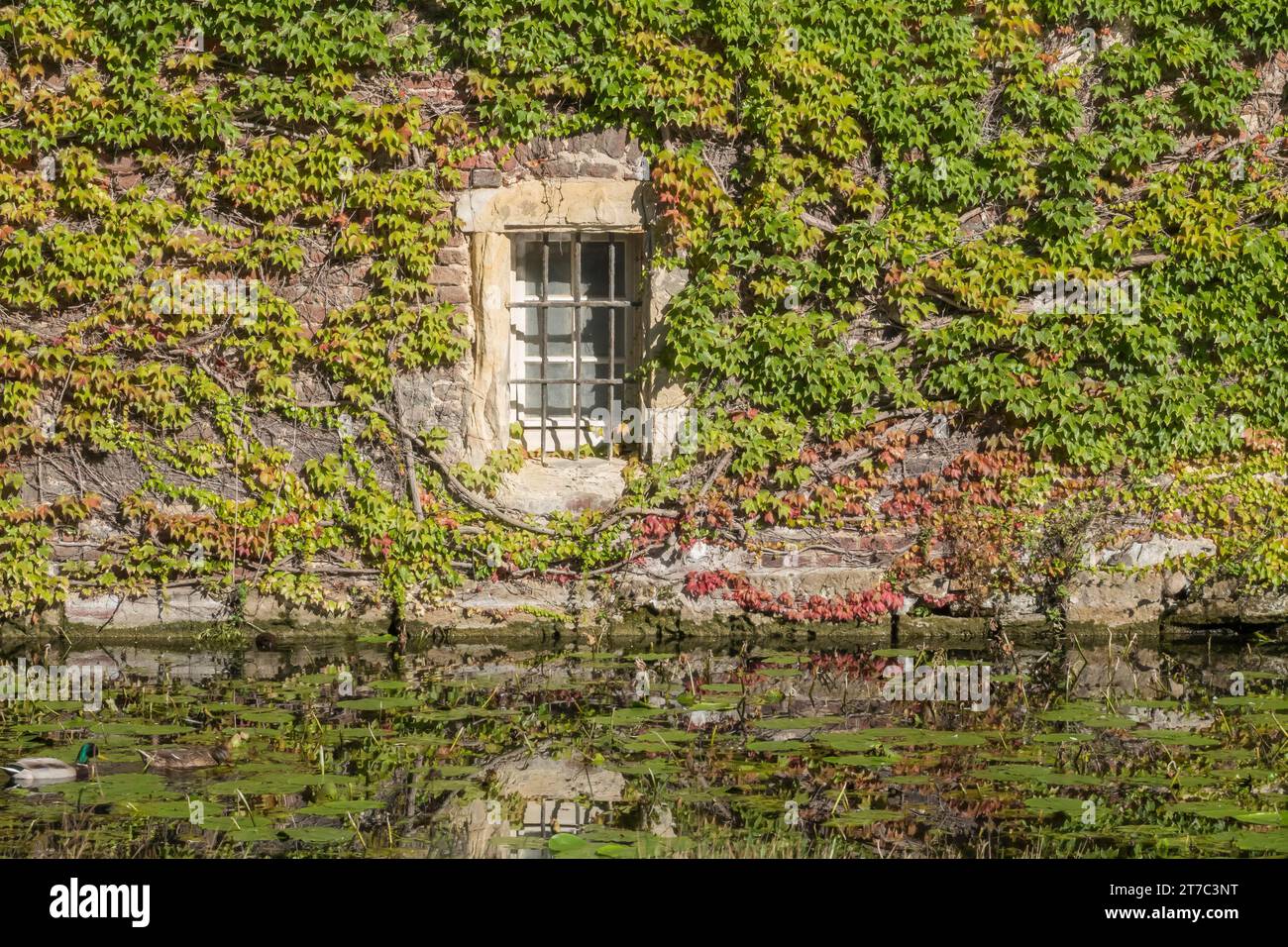 Barred window in brick wall, moat, Muensterland, North Rhine-Westphalia ...