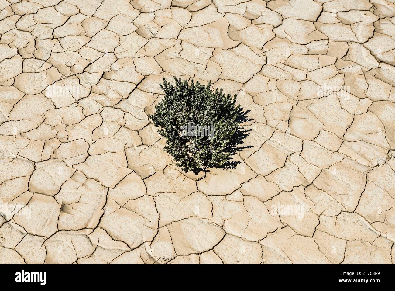 Dried-up lake, drought, aridity, climate change, Bardenas Riales ...