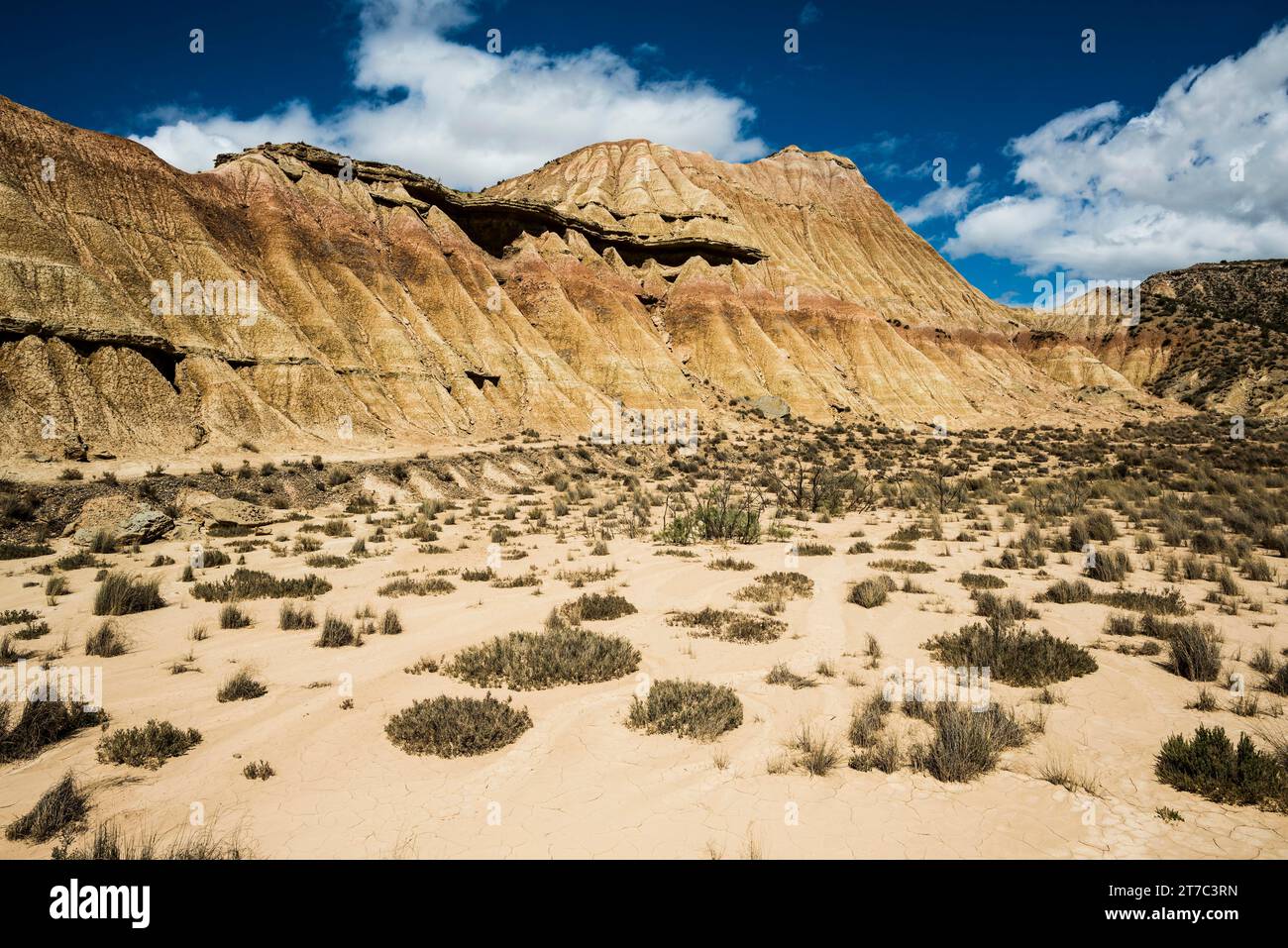 Semi-desert, Bardenas Reales Natural Park, Biosphere Reserve, Navarre ...
