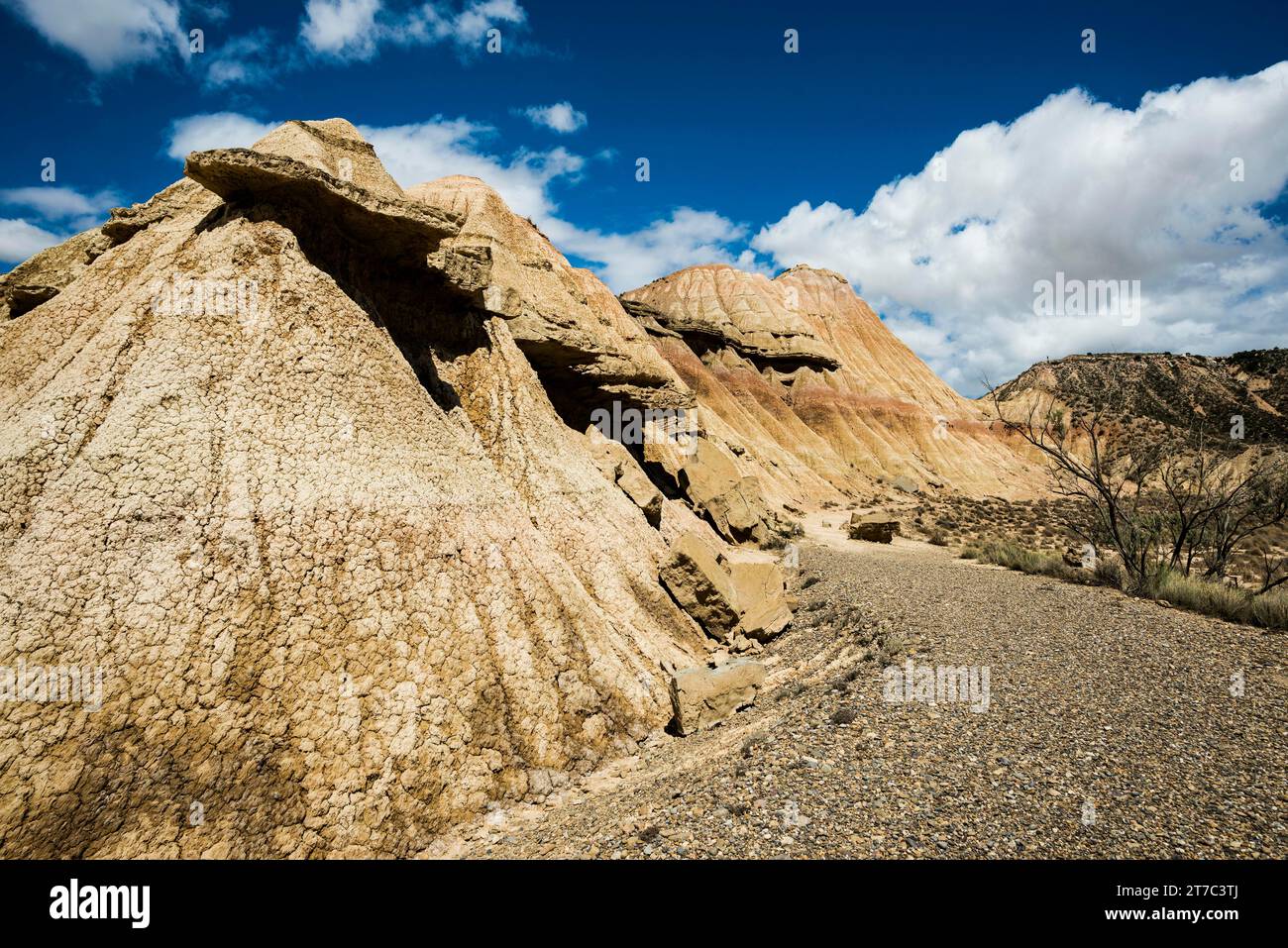 Semi-desert, Bardenas Reales Natural Park, Biosphere Reserve, Navarre ...