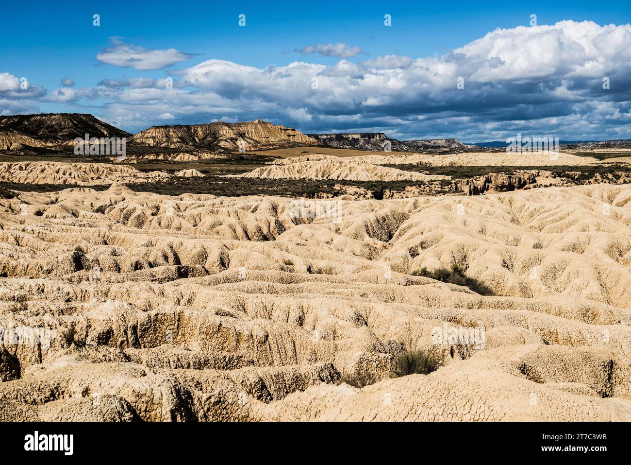 Semi-desert, Bardenas Reales Natural Park, Biosphere Reserve, Navarre ...
