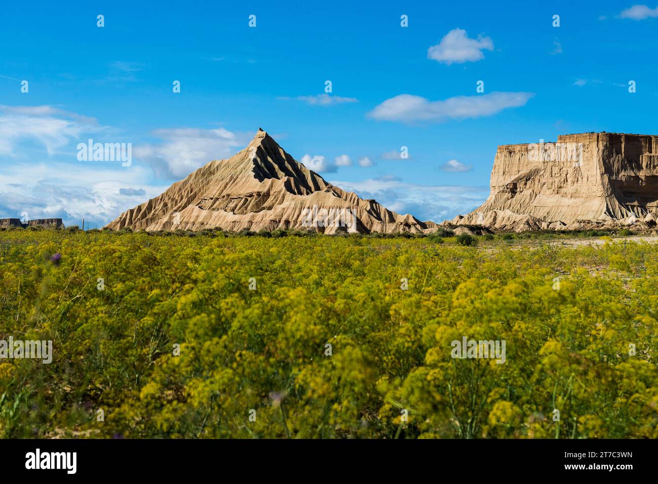 Semi-desert, Bardenas Reales Natural Park, Biosphere Reserve, Navarre ...