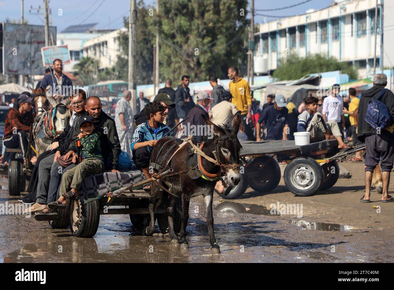 Gaza. 14th Nov, 2023. People take donkey-drawn carts in the southern ...