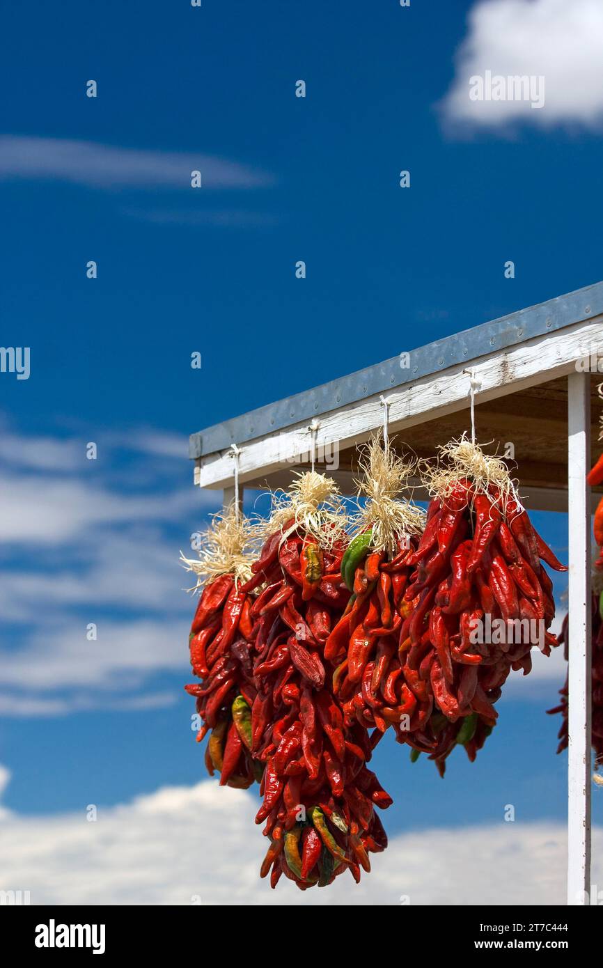 Chilli pepper, blue sky, spice, market, hot, food, nutrition, drying ...