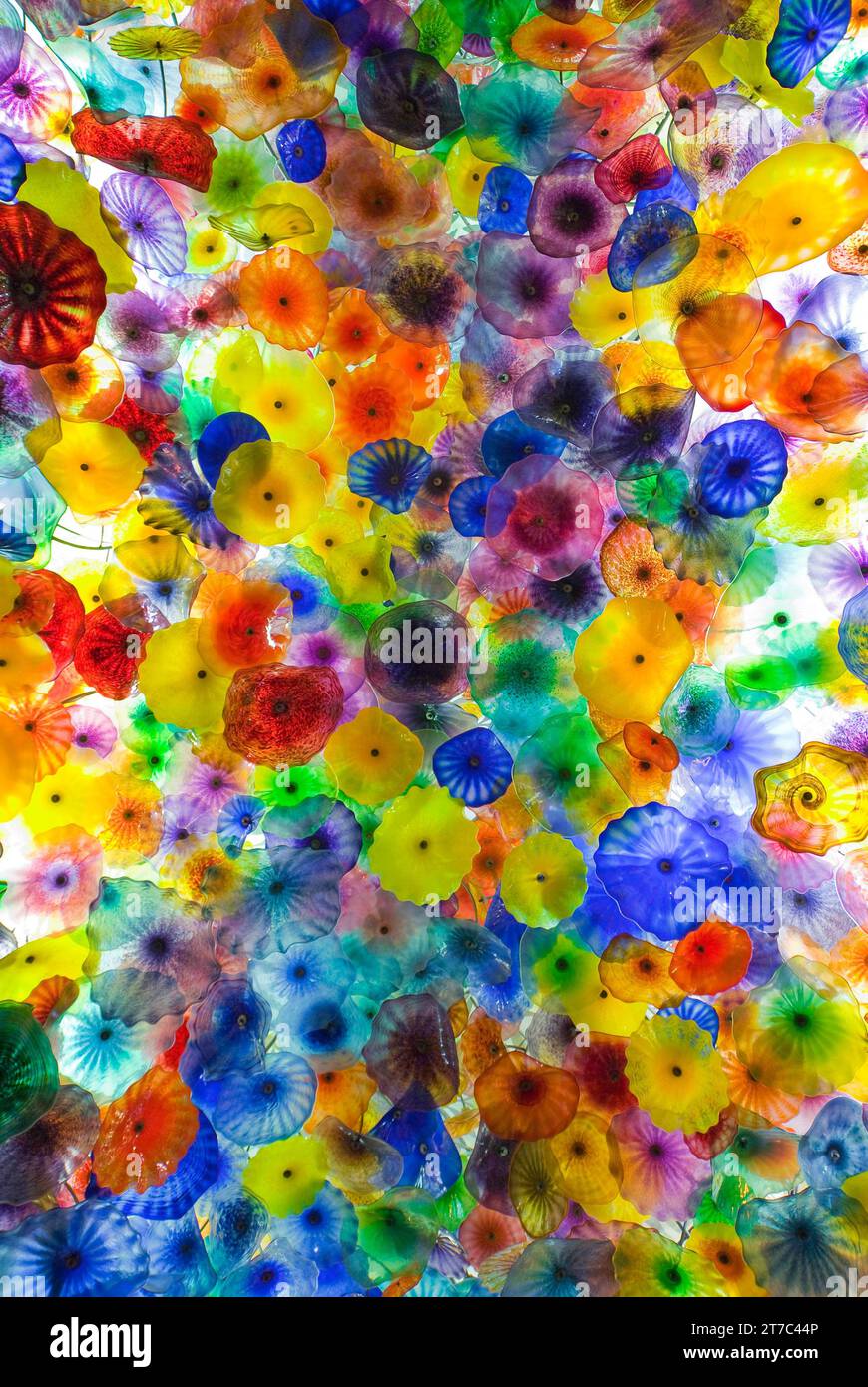 Jellyfish-like glass objects as art objects, colourful, glass, art ...