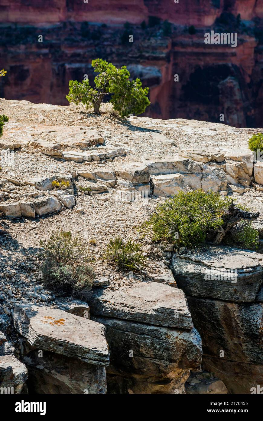 Plateau, Hermits rest route, Grand Canyon National Park, South Rim ...