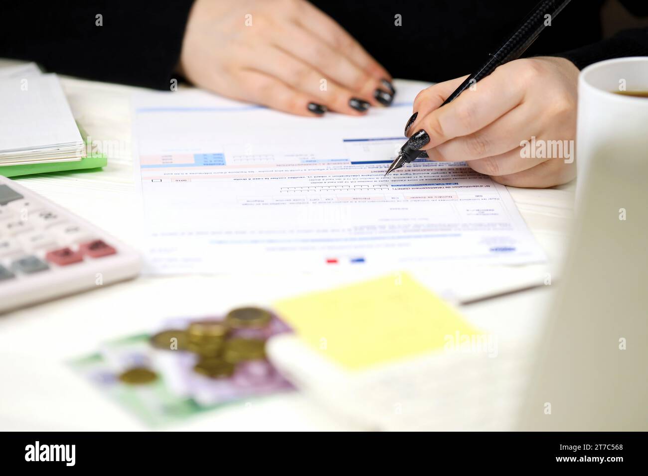 Accountant fill french tax form CA12 Value added tax and similar taxes ...