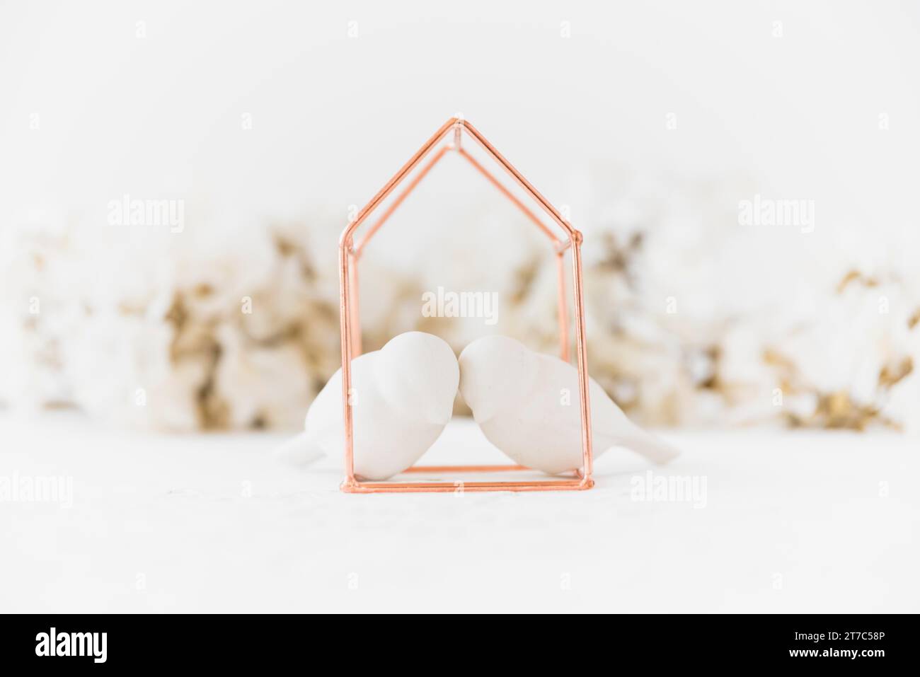 Two white birds cage Stock Photo - Alamy