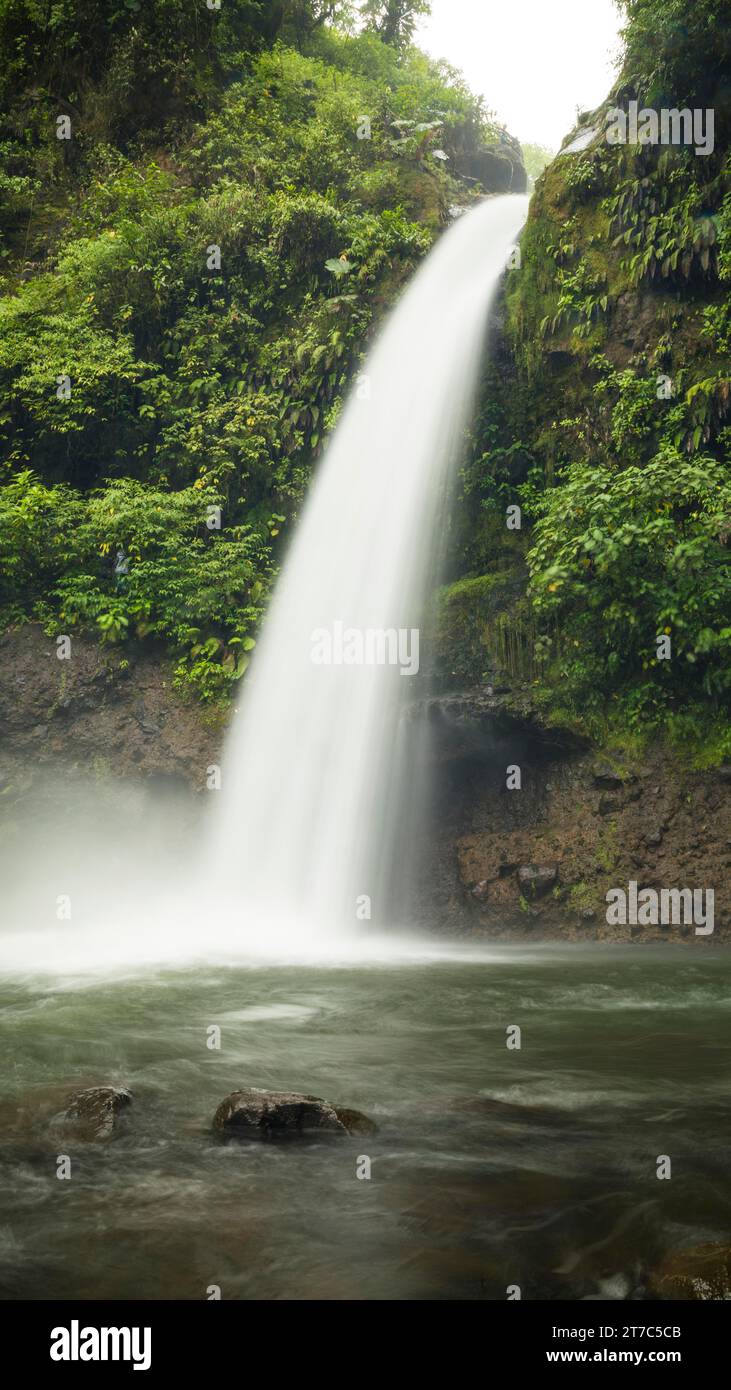 Waterfall beautiful costa rican rainforest Stock Photo - Alamy