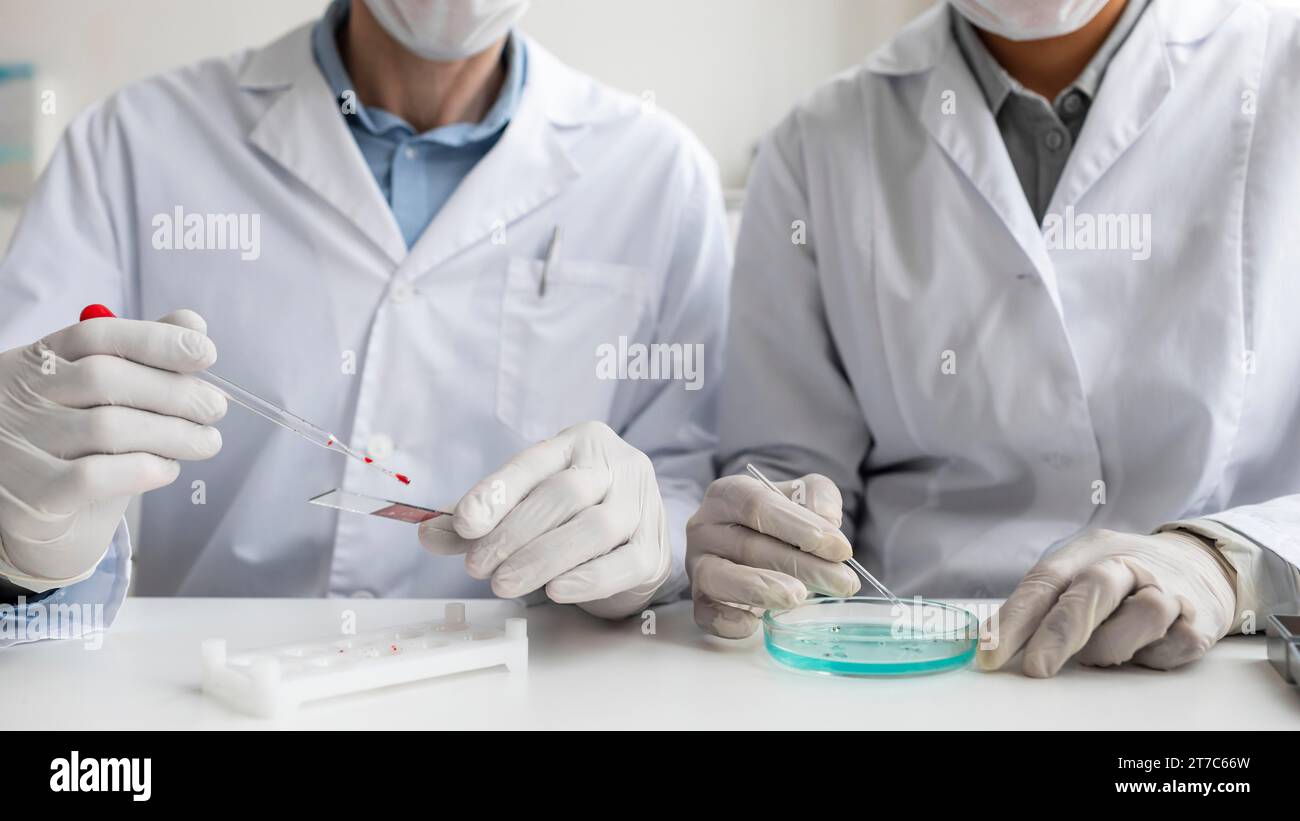 Conference scientists hi-res stock photography and images - Alamy