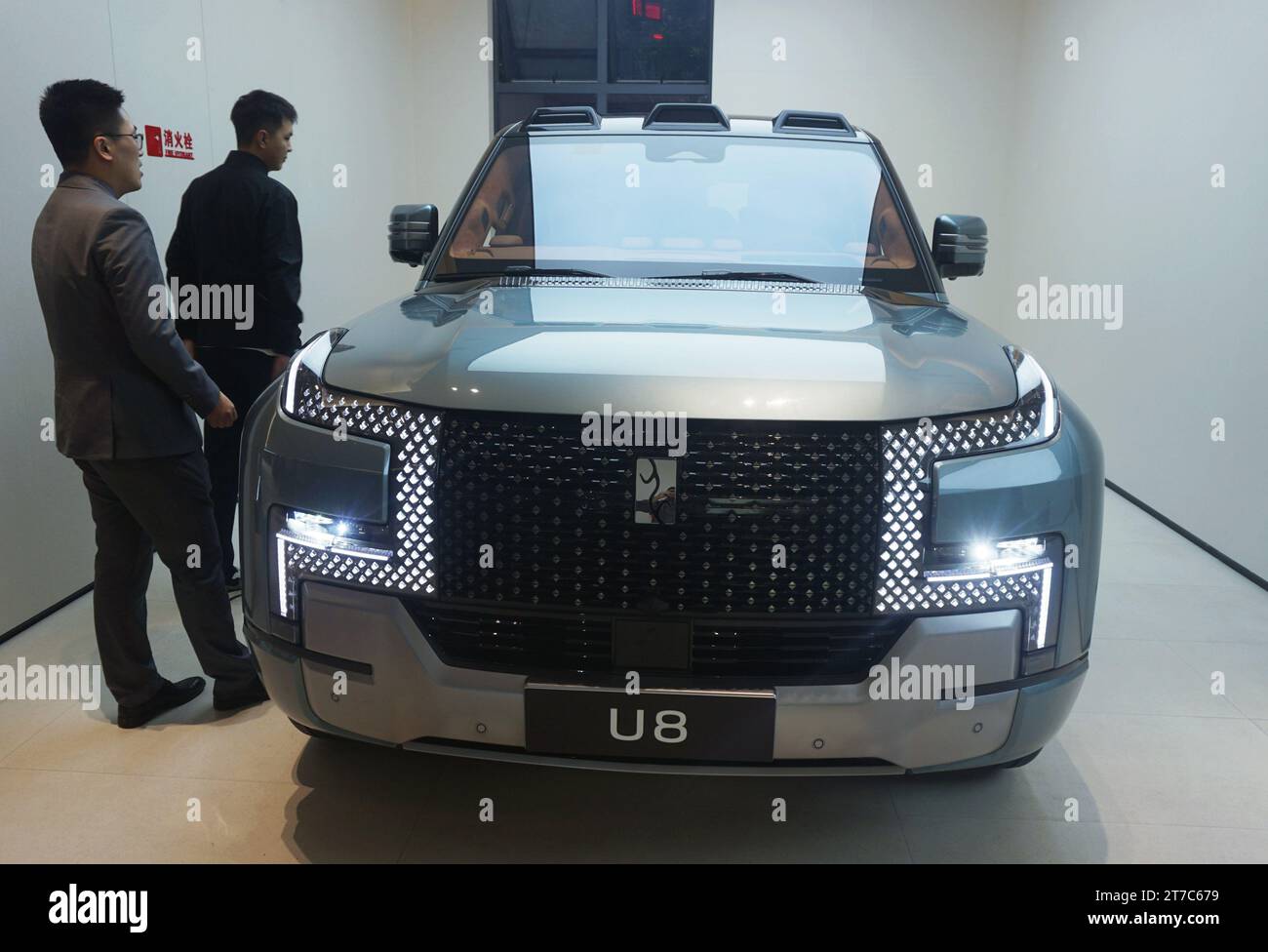 HANGZHOU, CHINA - NOVEMBER 15, 2023 - Customers experience BYD's new ...